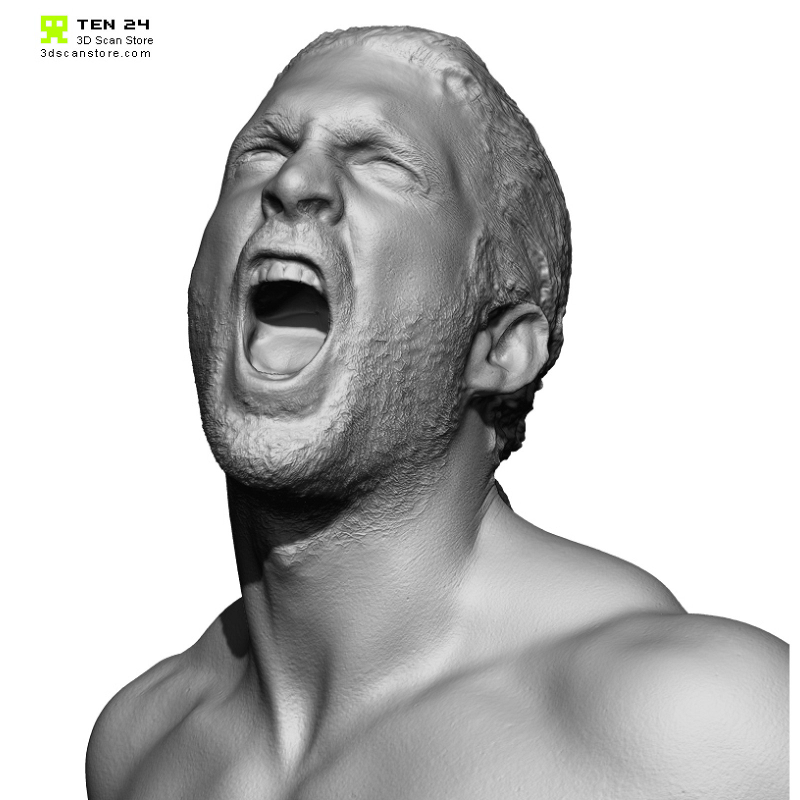 Colour Male 03 Anger Pose 03