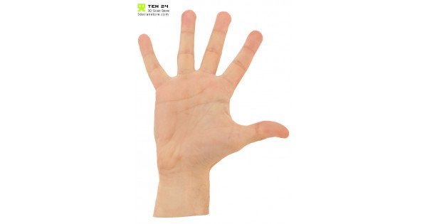 Hand 3D Models | All from 3d scans by 3dscanstore.com