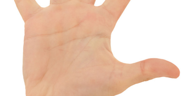 Hand 3D Models | All from 3d scans by 3dscanstore.com