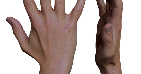 Ultimate Male Hand 01