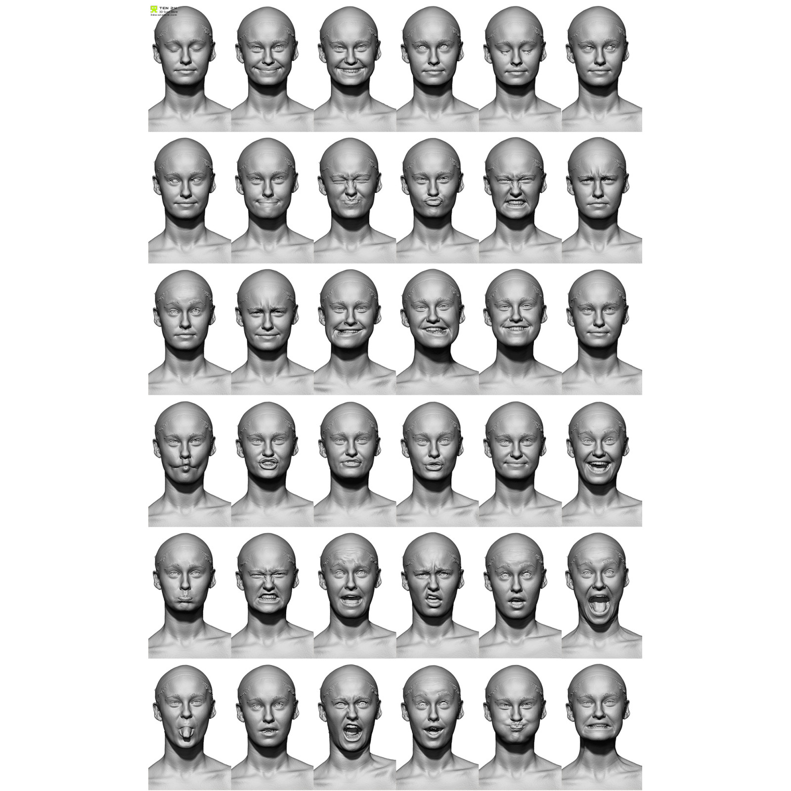 Female 01 38 x Expression Scan Bundle