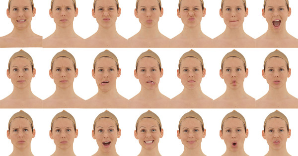 Female 04 36 x Expression Scan Bundle