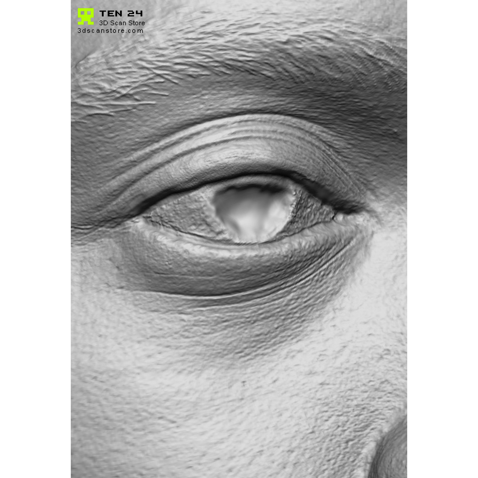 Male 02 Head Scan Cleaned