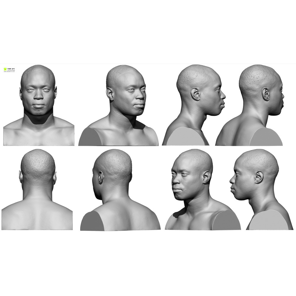 Male 02 Head Scan Cleaned