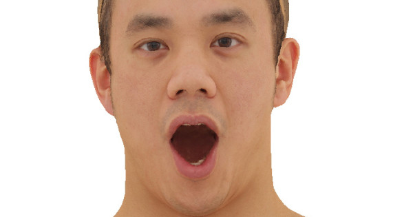 Male 04 Jaw Wide Open RAW