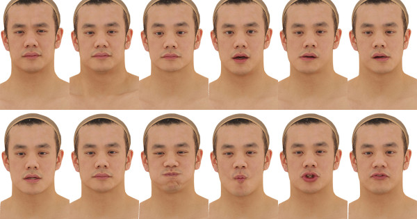 Male 04 38 x Expression Scan Bundle