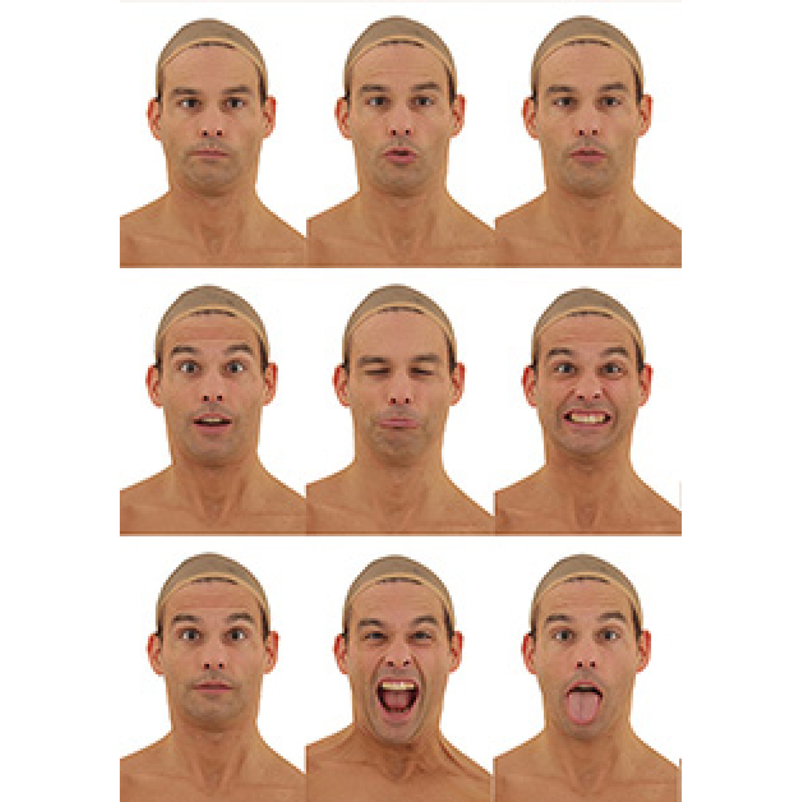 3d Face Models | 3d faces from 3d scans