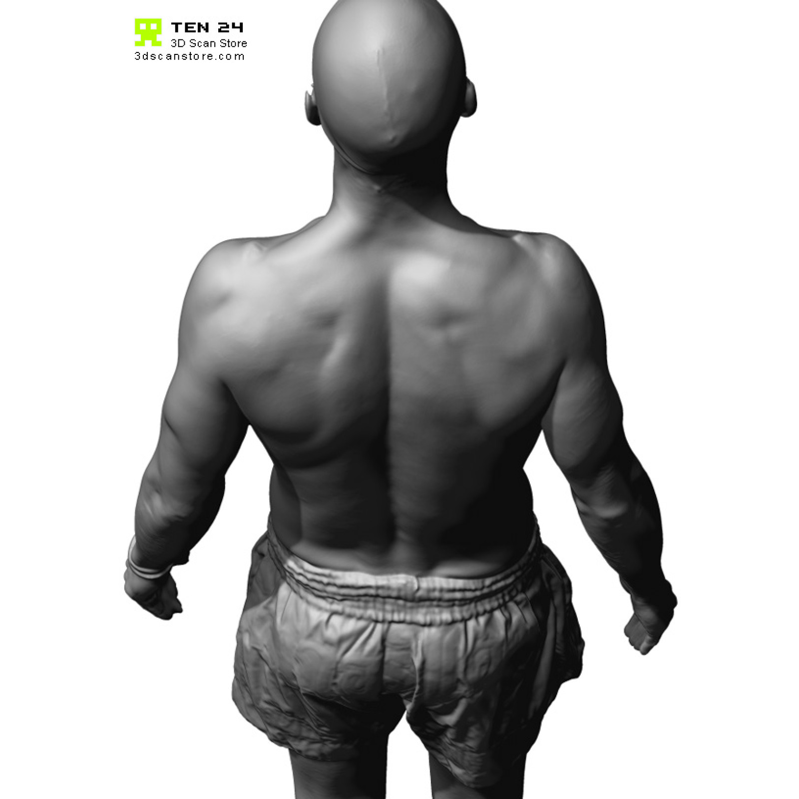 Shaded Male 07 Pose 1 kickboxer