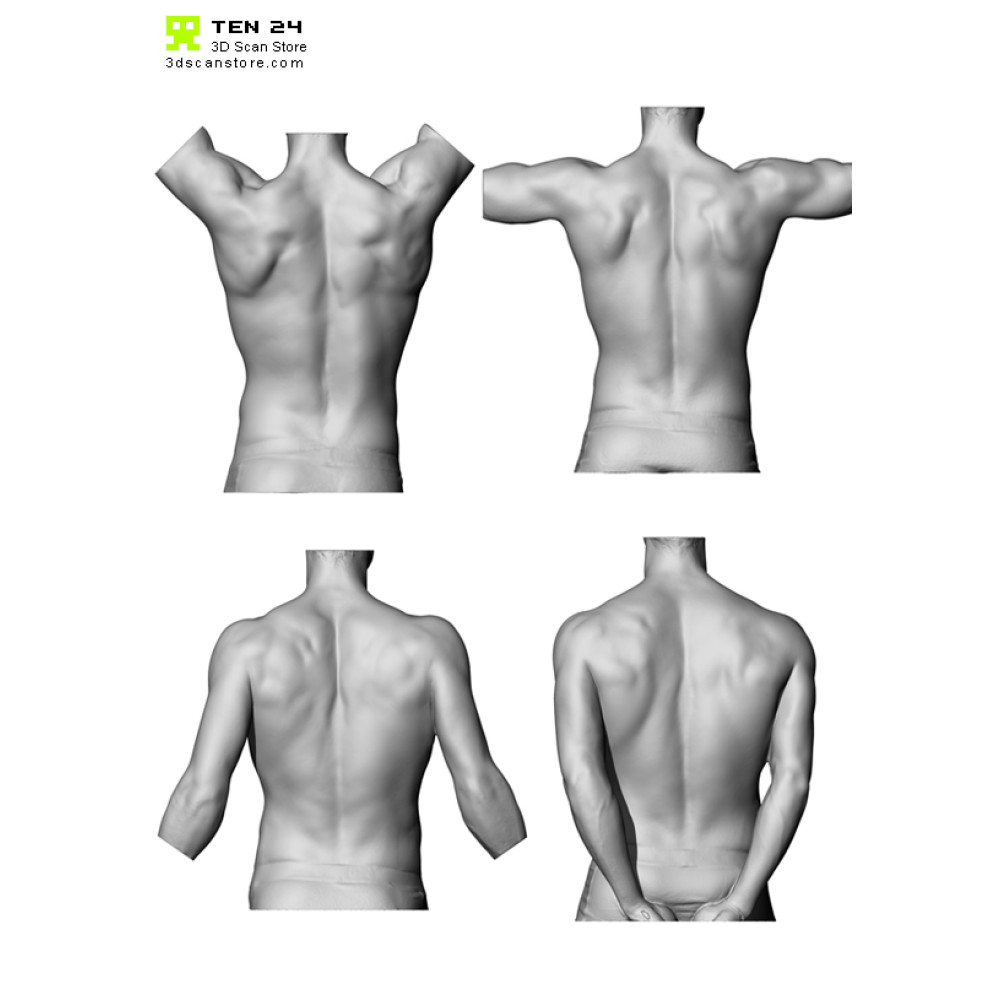 Male Anatomy Bundle 01