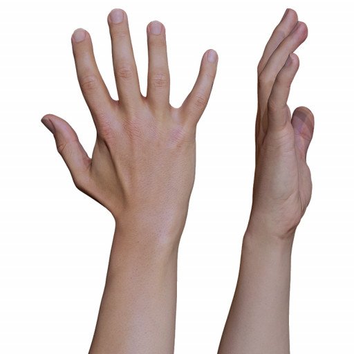 Hand 3D Models | All from 3d scans by 3dscanstore.com
