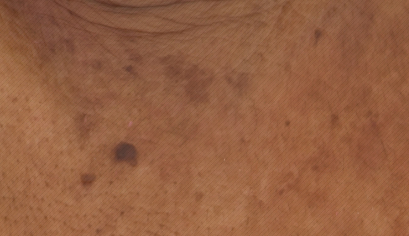 Female 054 / Albedo Map