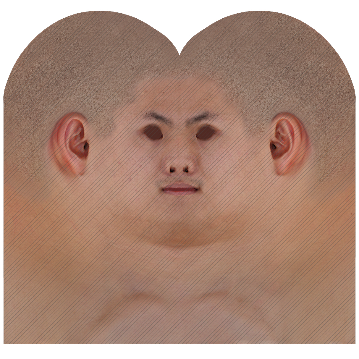 Male head texture map 19