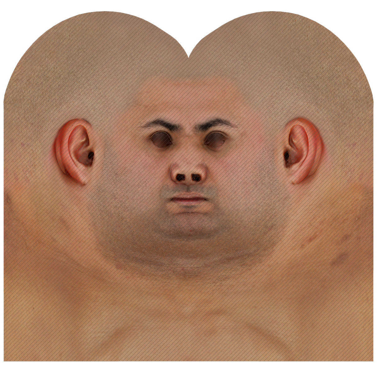 Male head texture map 37