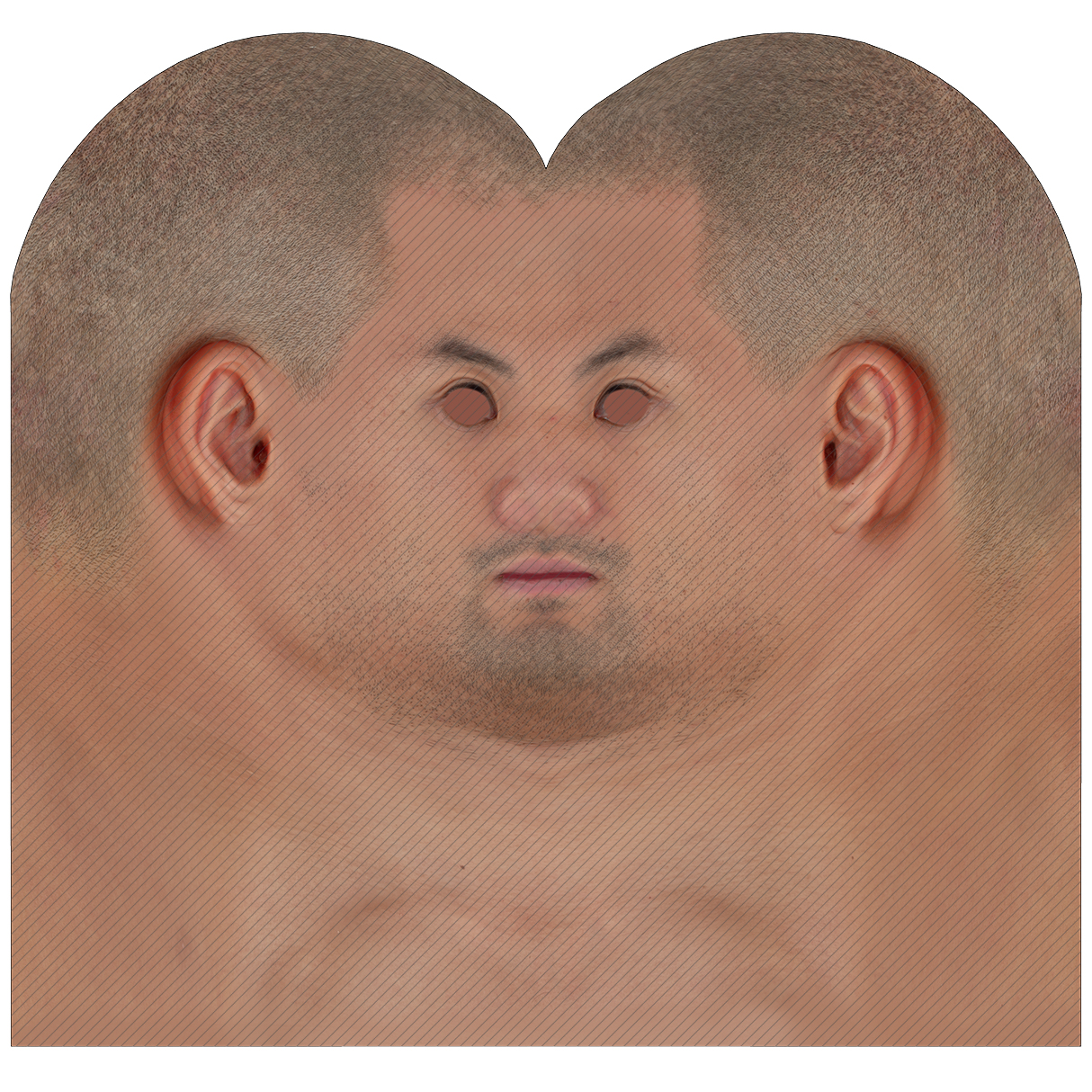 Male head texture map 42