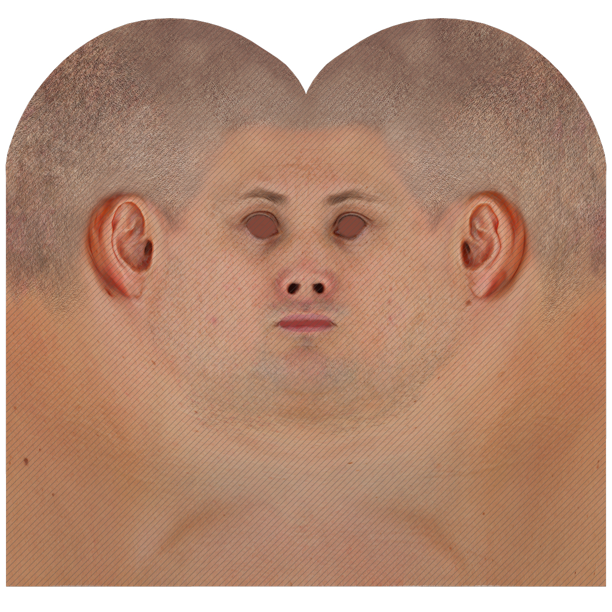 Male head texture map 48