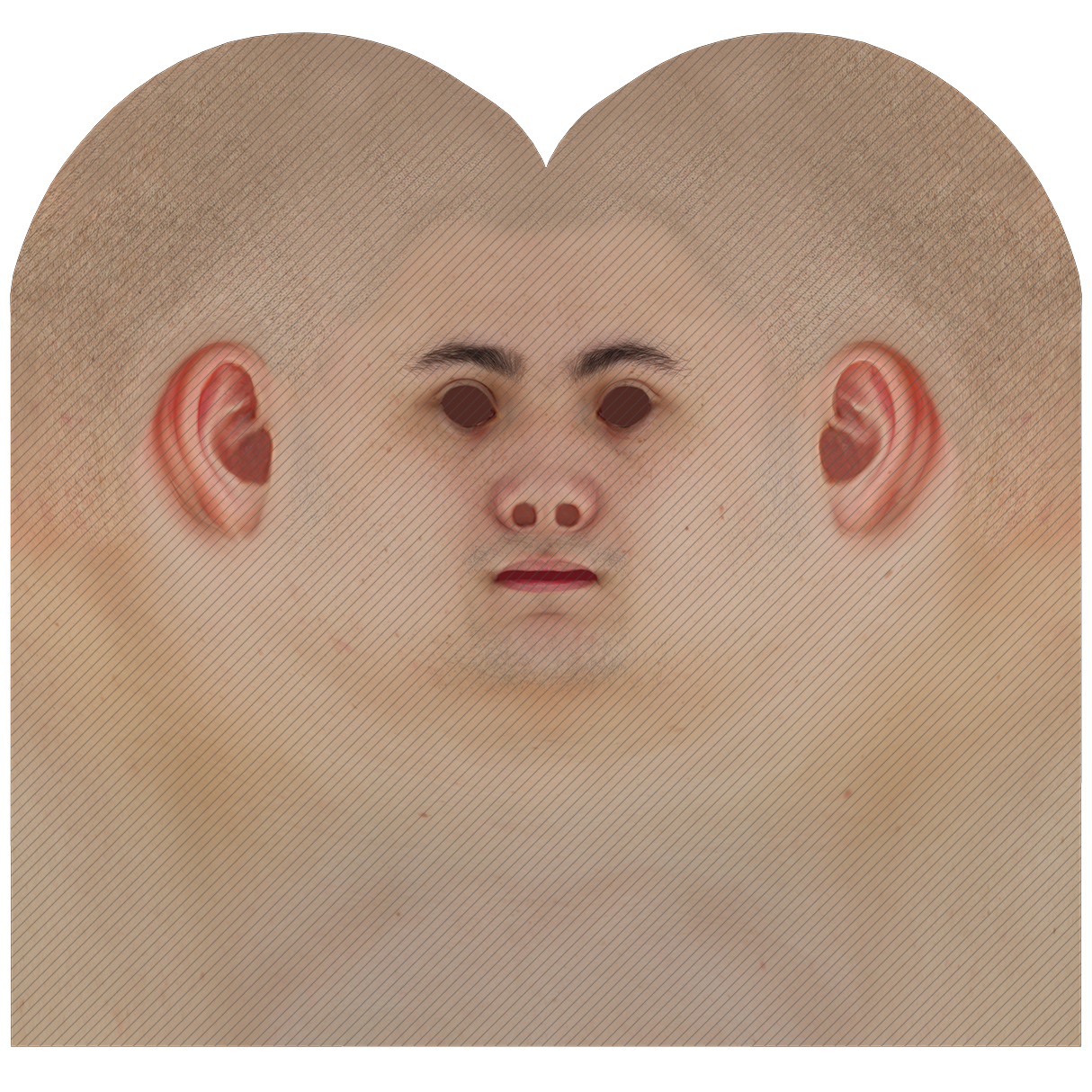Male head texture map 08