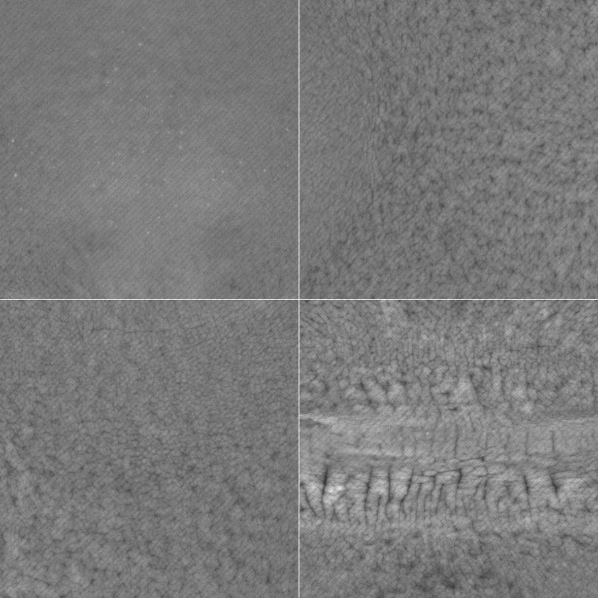 Female 01 / HD Displacement Map