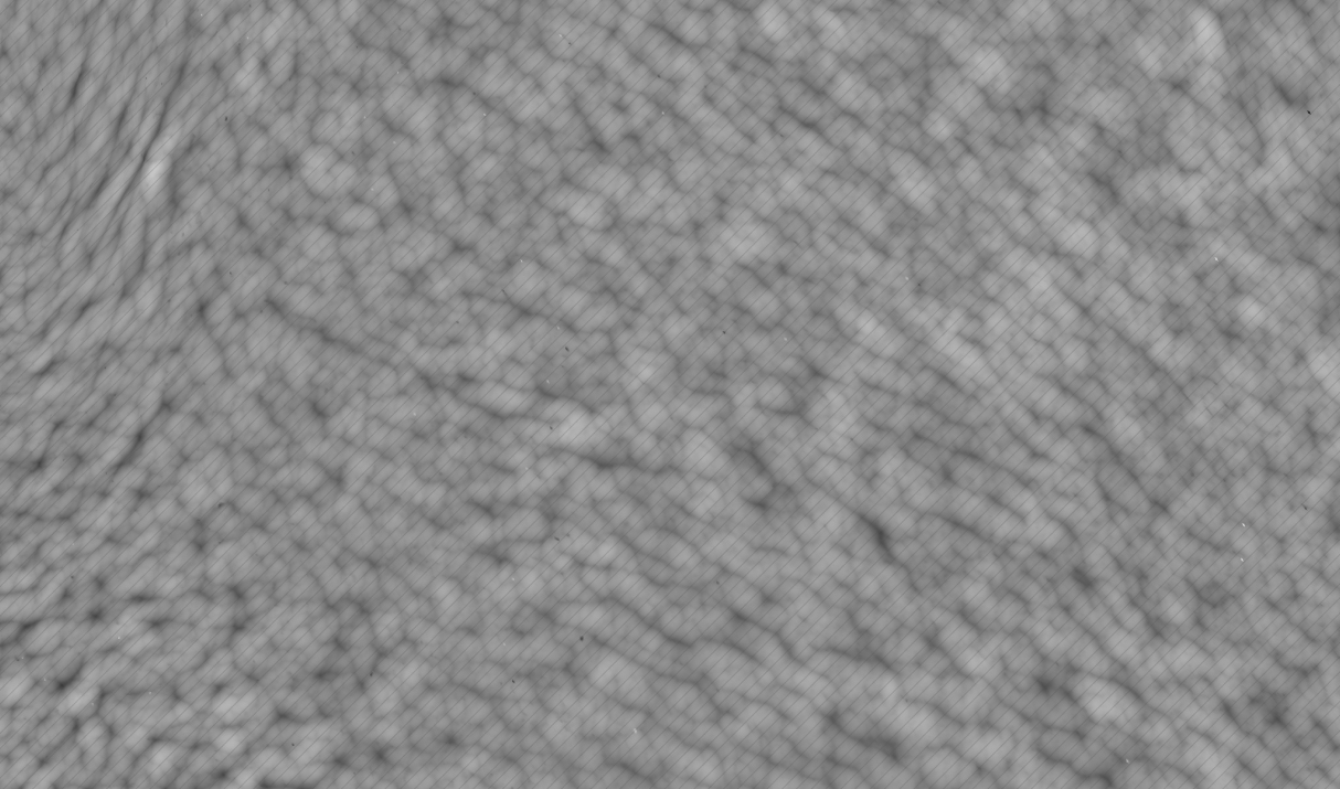 Female 10 / HD Displacement Map