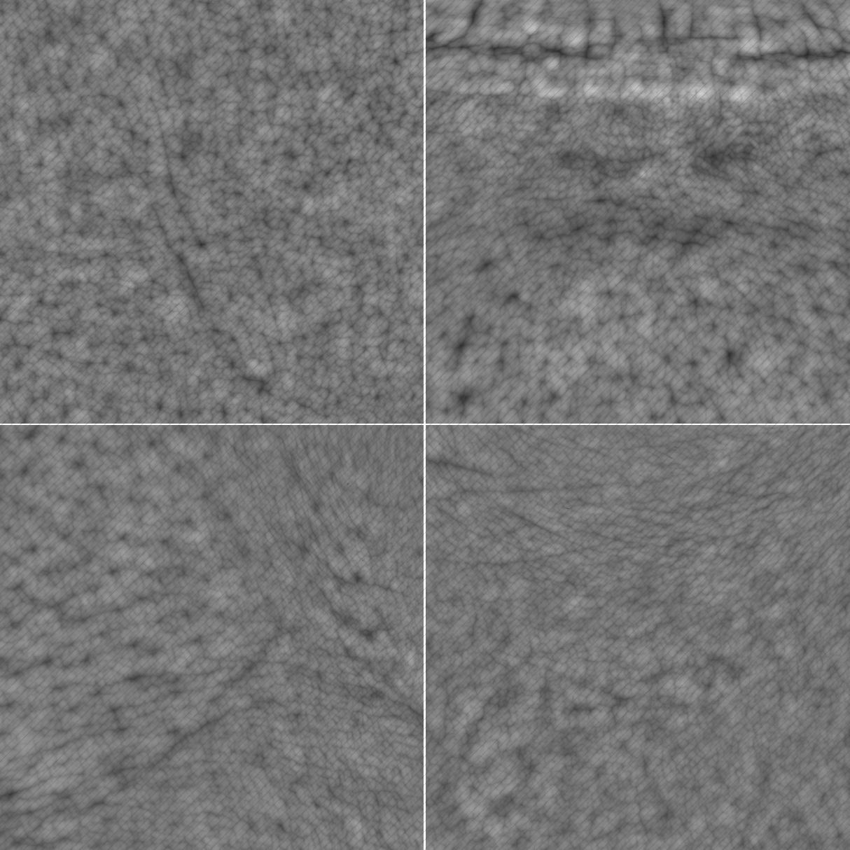 Female 13 / HD Displacement Map