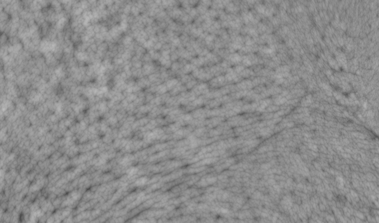 Female 13 / HD Displacement Map