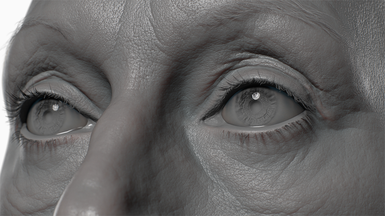 Female 14 / HD Displacement Map