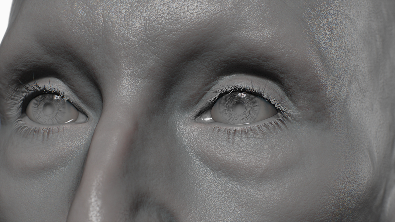 Female 19 / HD Displacement Map