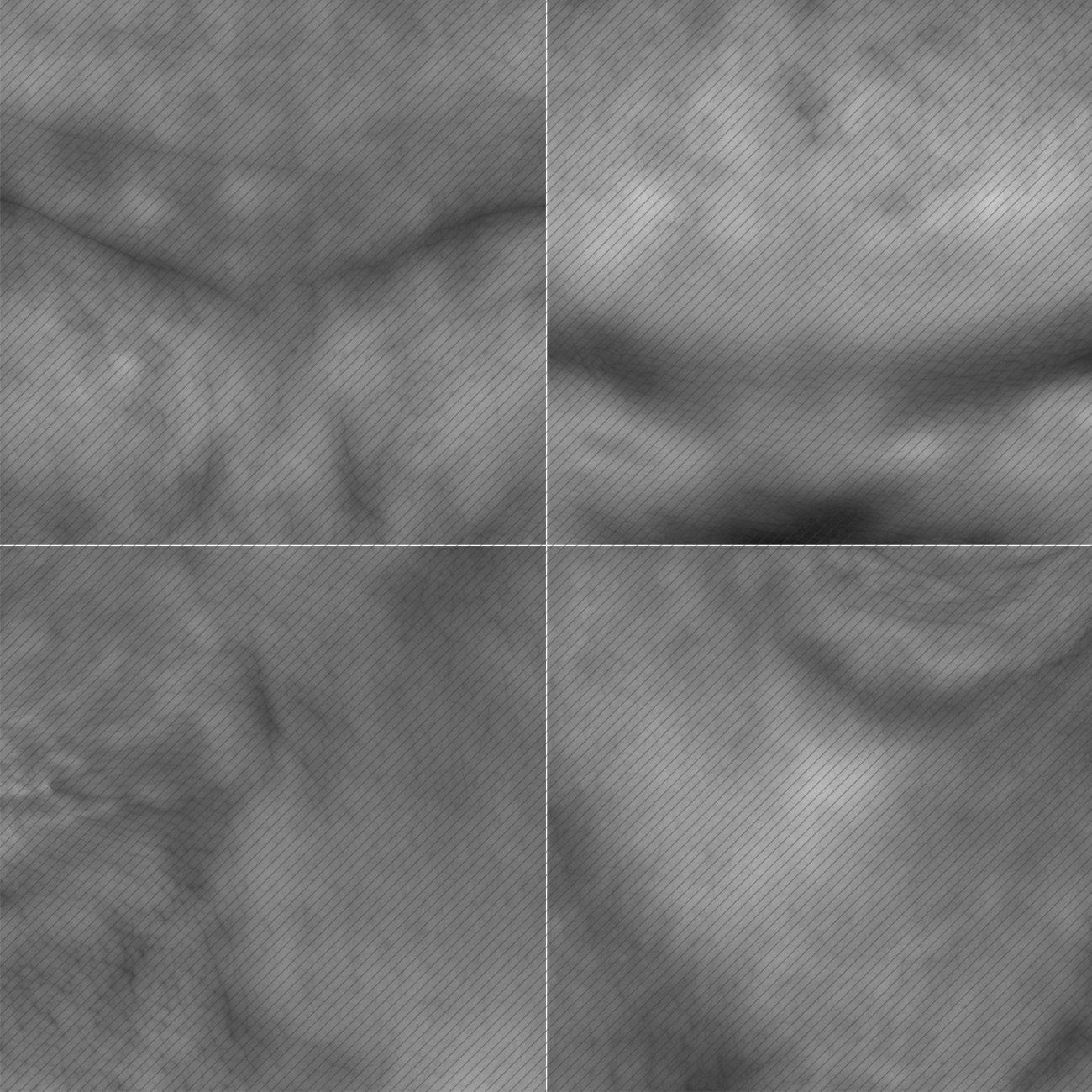 Female 19 / HD Displacement Map