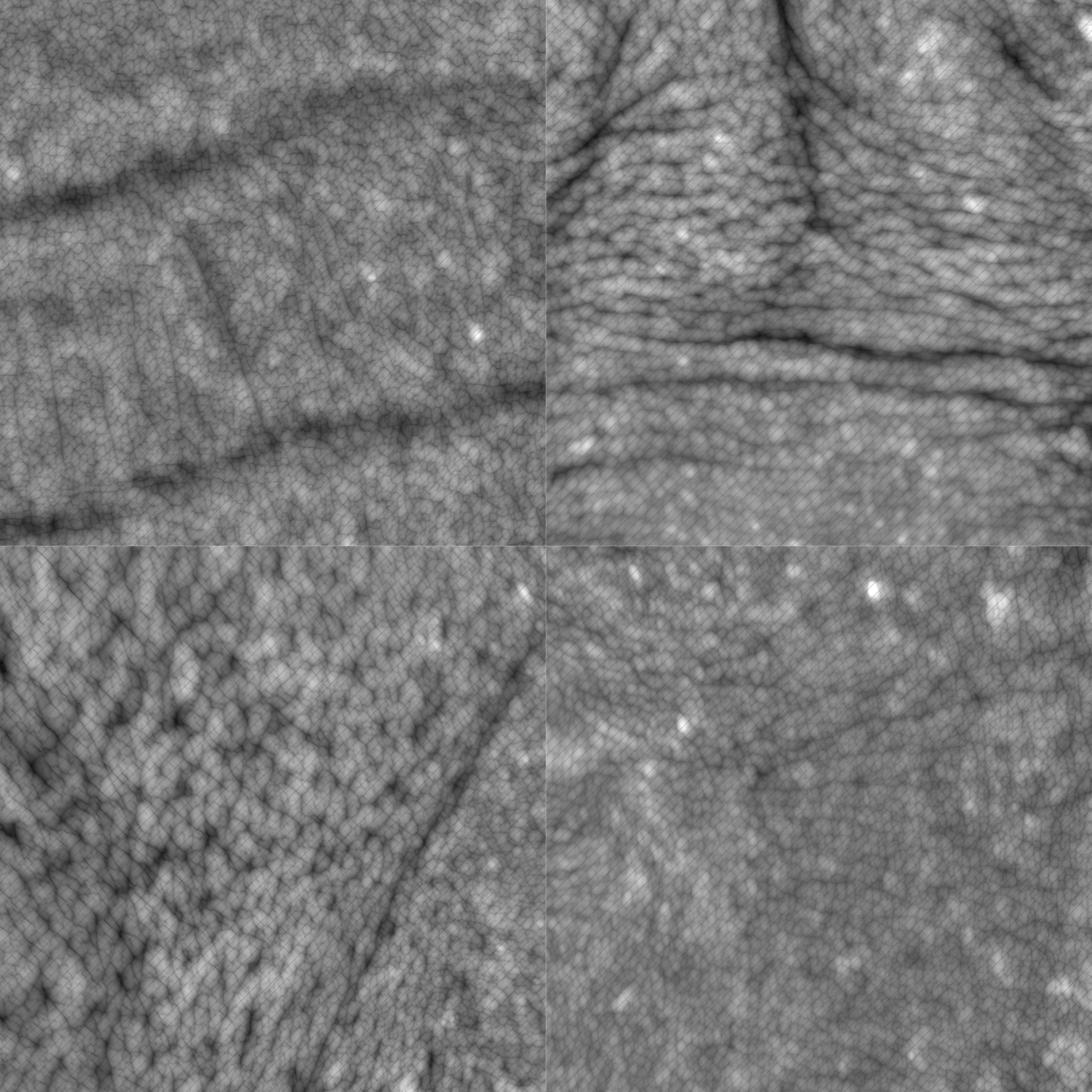 Male head texture map 09