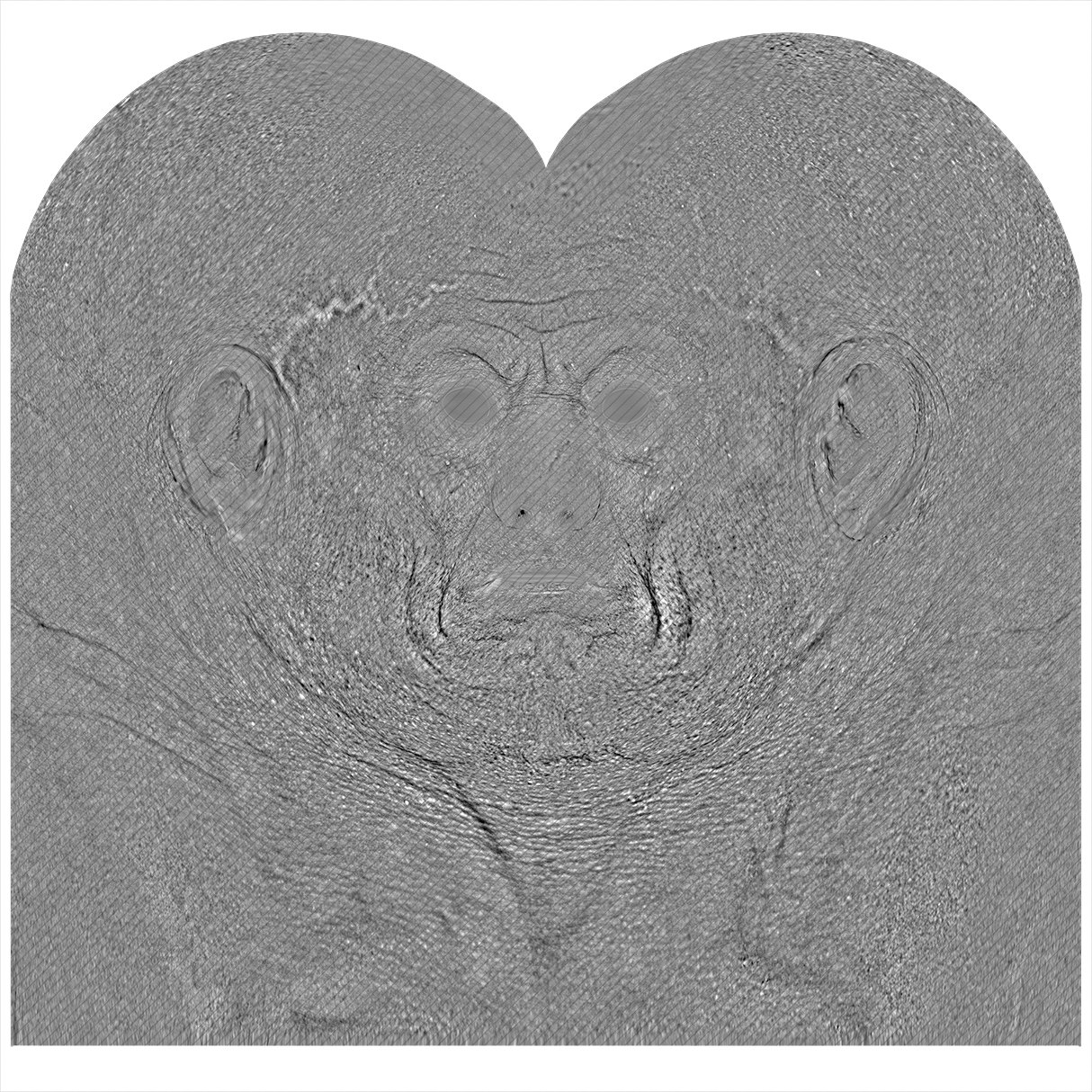 Male head texture map 09