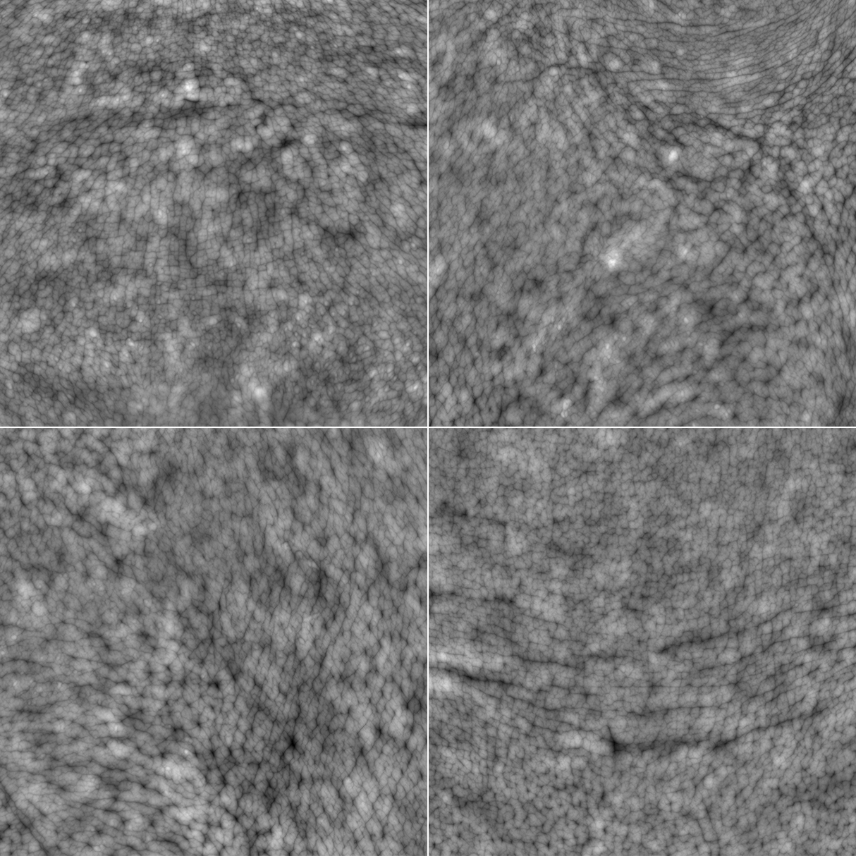 Male head texture map 12