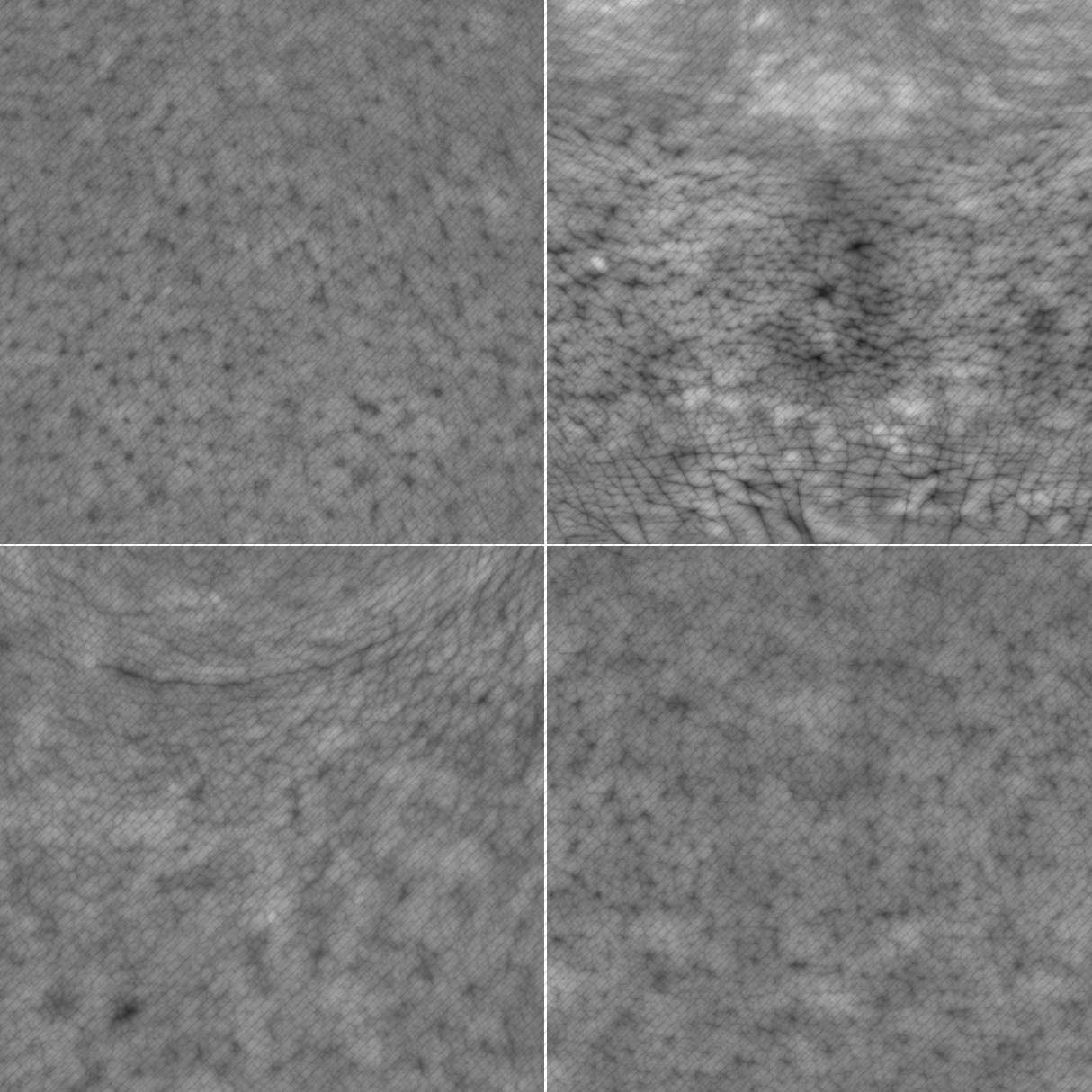 Male head texture map 14