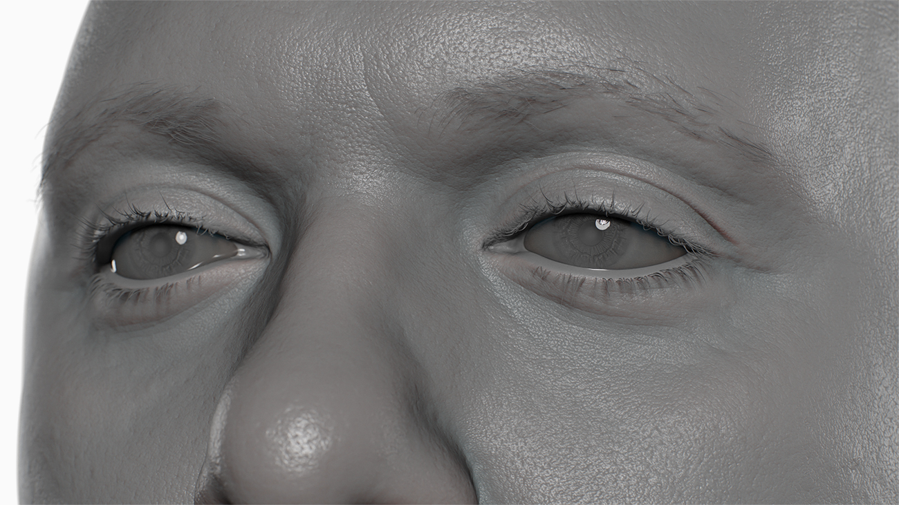 Male 15 / HD Displacement Map