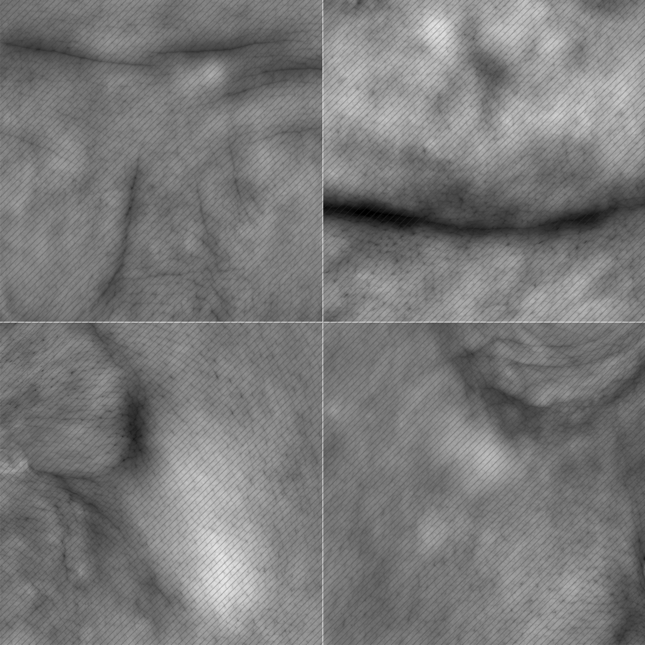 Male 17 / HD Displacement Map