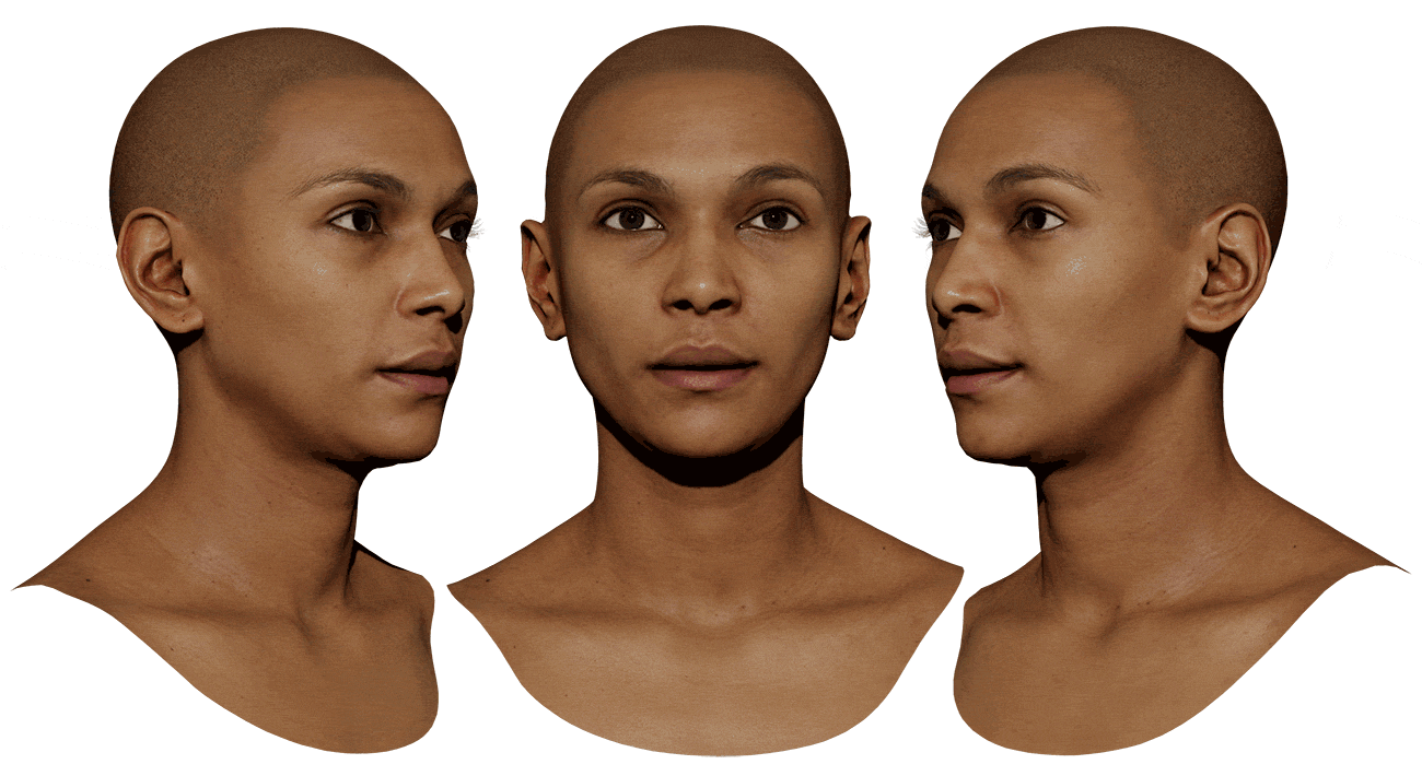 15 x FACS Scans / Retopologised female 01