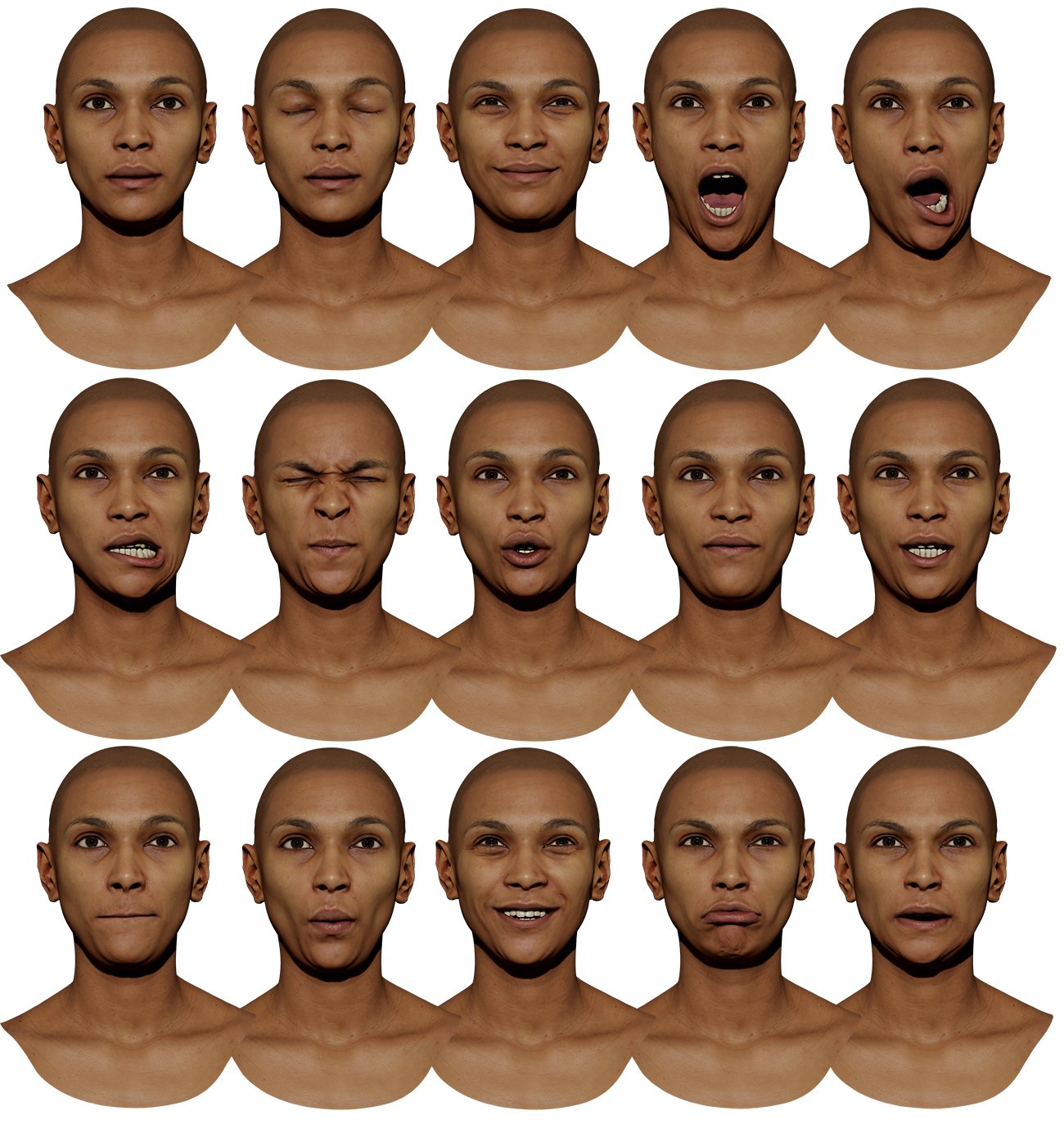 15 x FACS Scans / Retopologised female 01