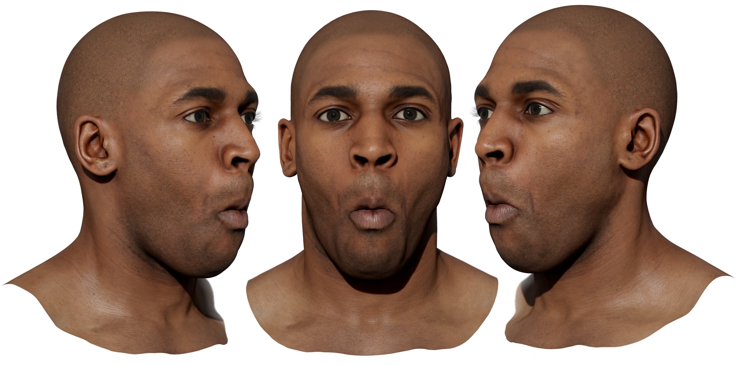 FACS Scan / Long Face / Reopolosiged Male 01