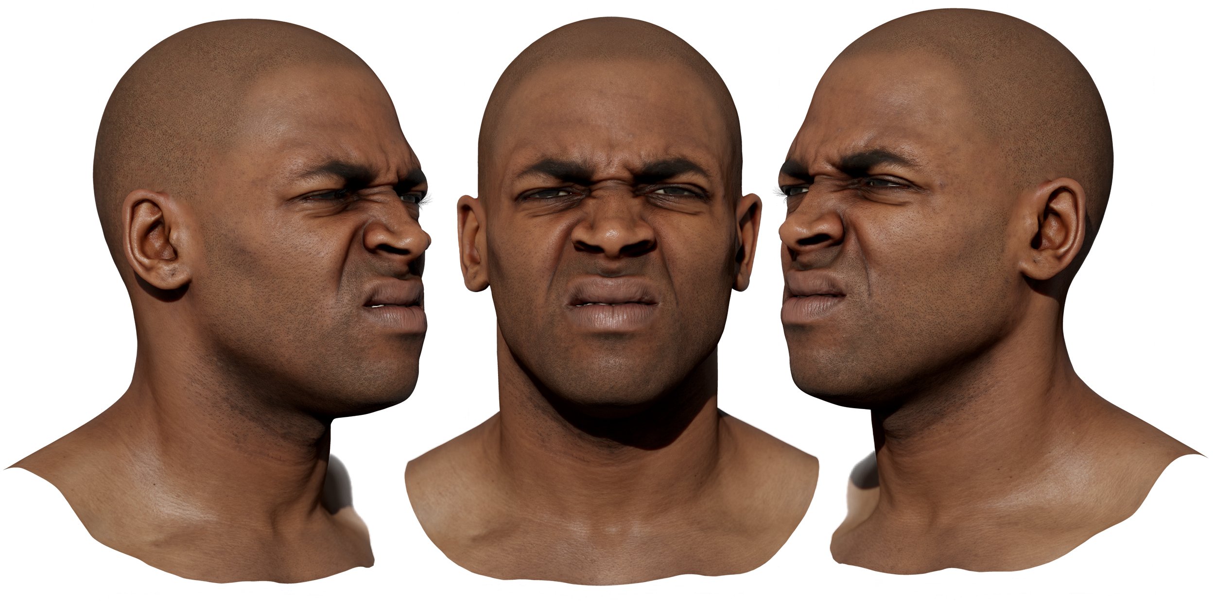 FACS Scan / Snarl / Retopologised Male 01