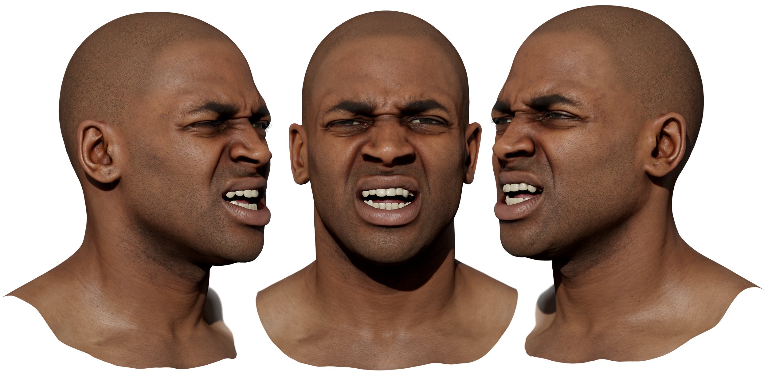 FACS Scan / pain / Retopologised Male 01
