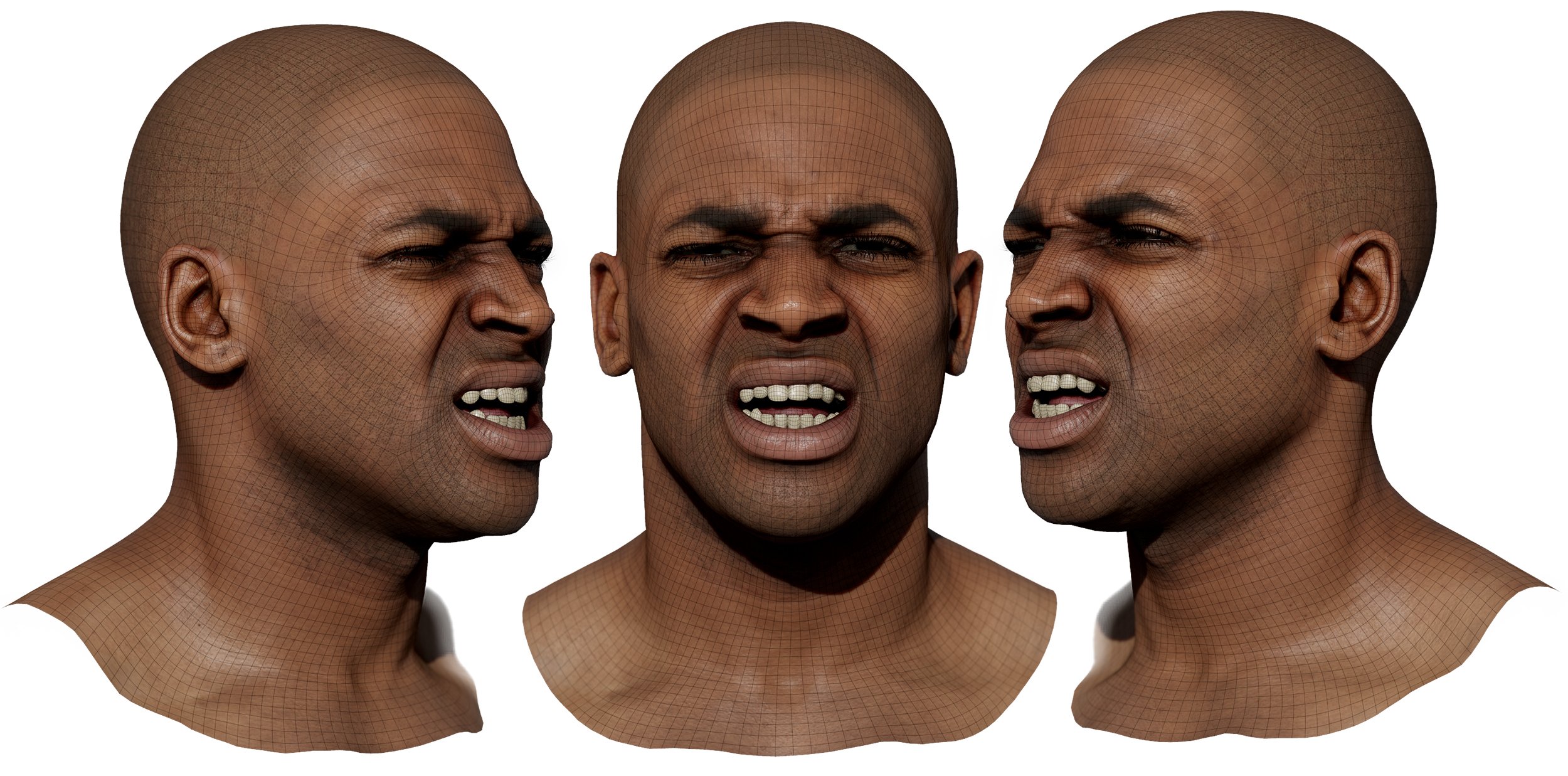FACS Scan / pain / Retopologised Male 01