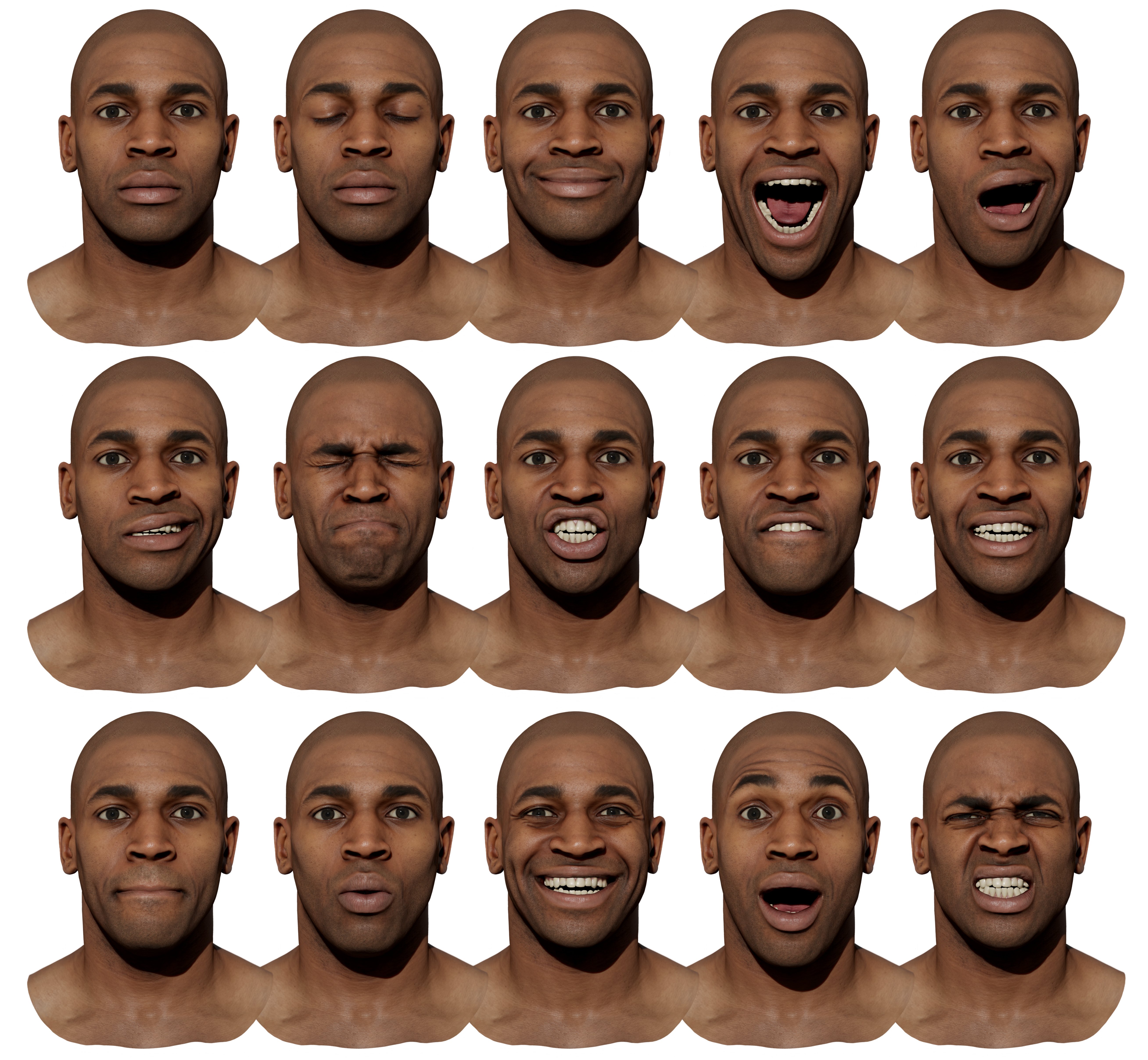 15 x FACS Scans / Retopologised Male 01