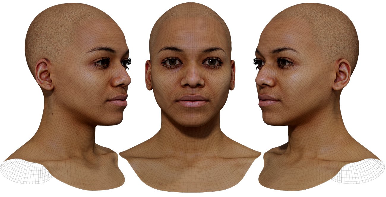 Female 3D model / Retopologised Head Scan 06