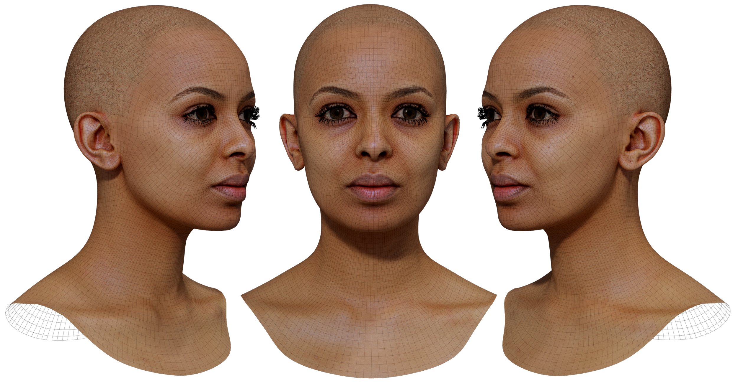 Female 3D model / Retopologised Head Scan 029