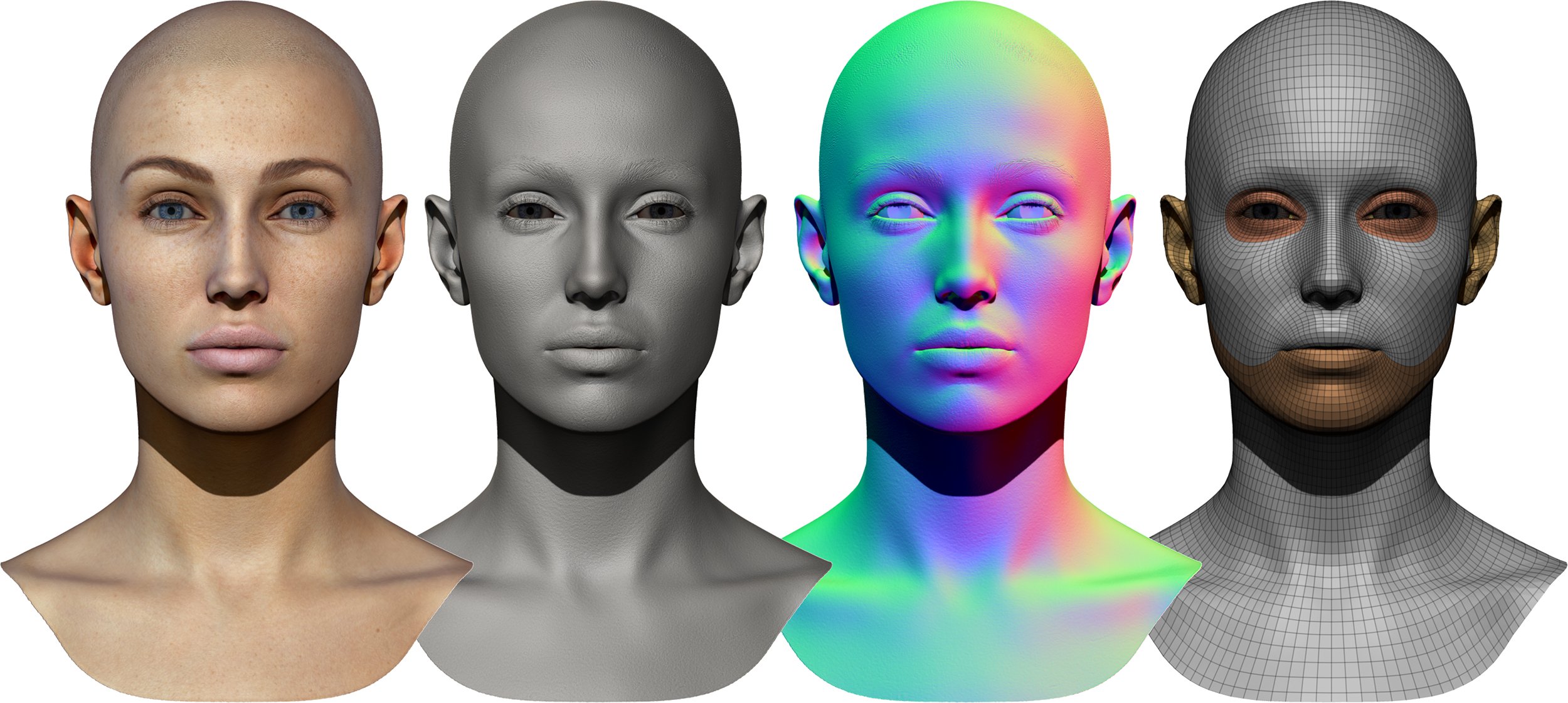 Female 3D model / Retopologised Head Scan 032