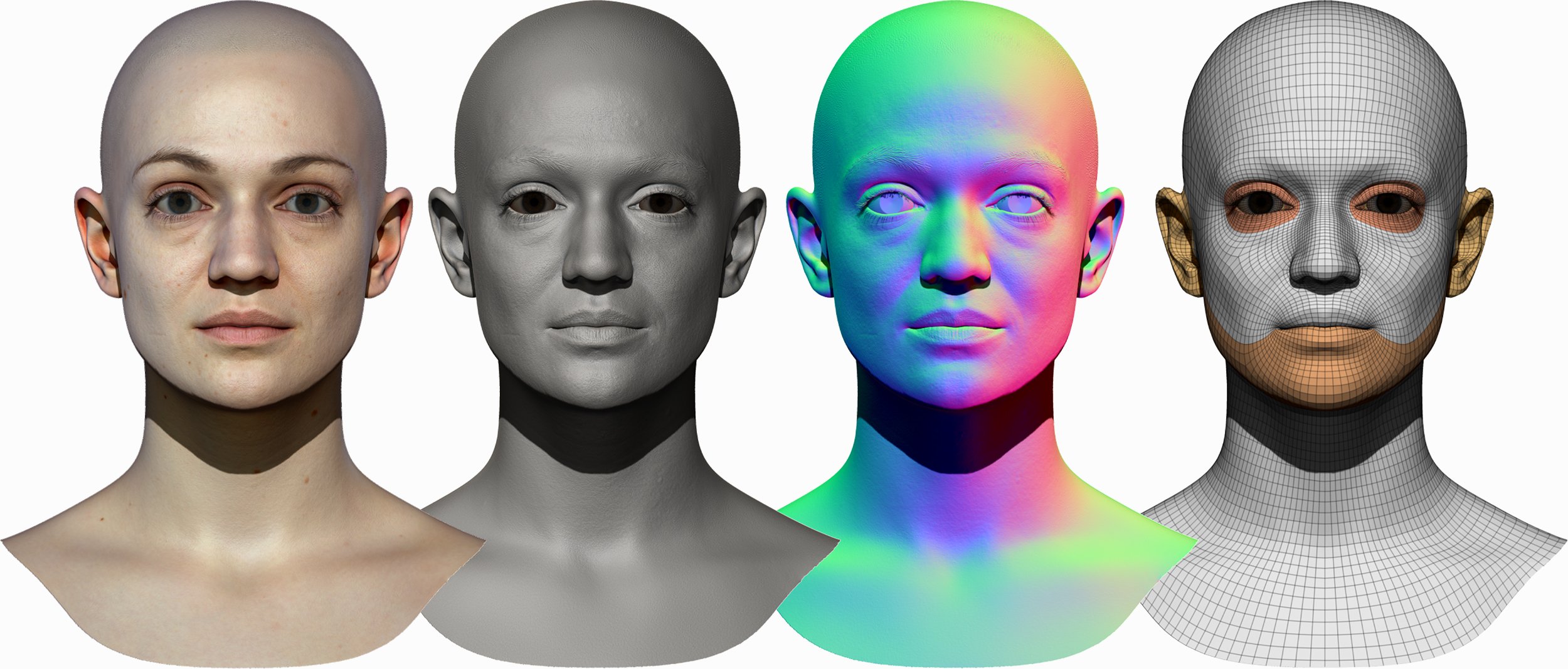 Female 3D model / Retopologised Head Scan 033