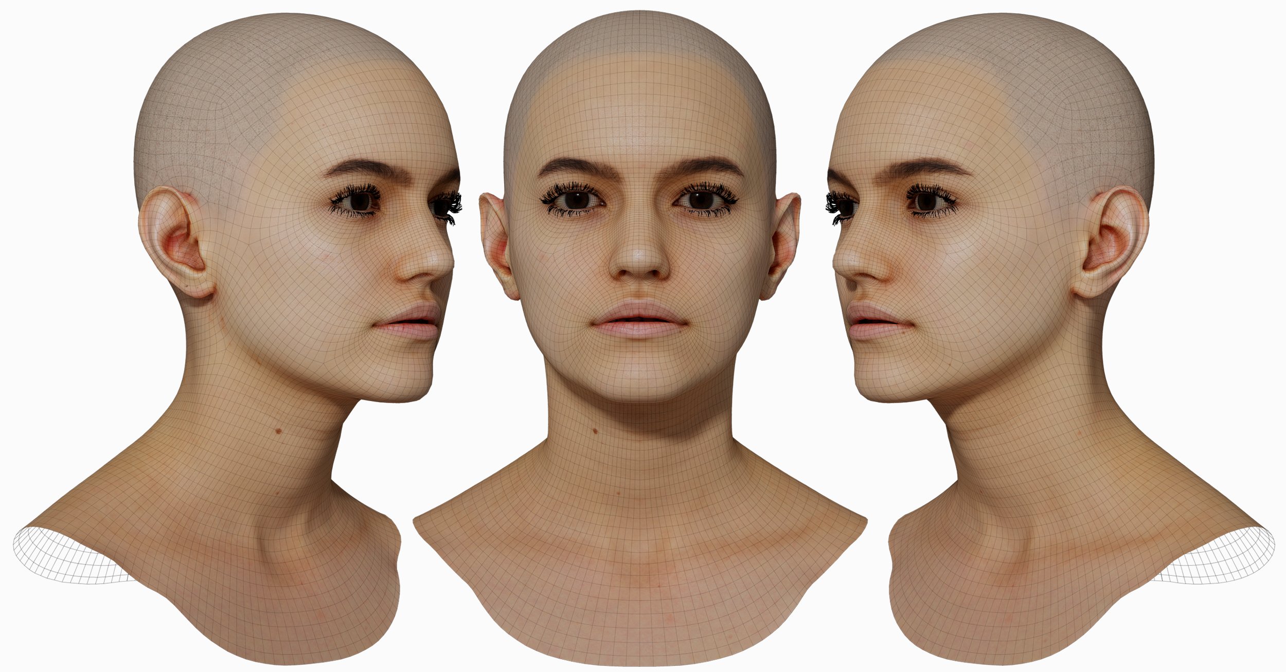 Female 3D model / Retopologised Head Scan 036