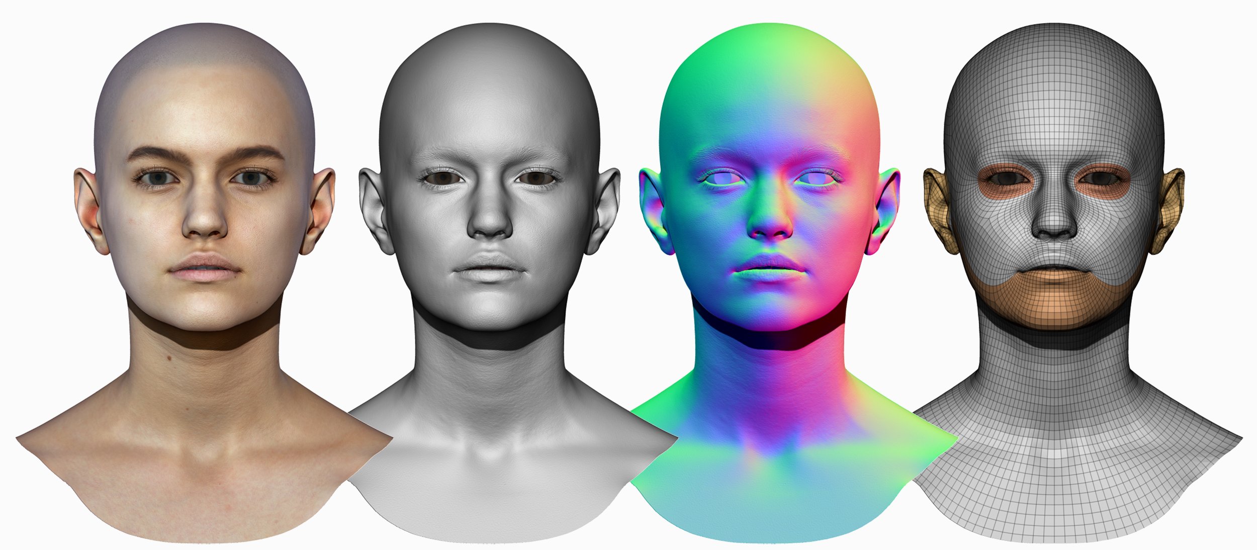 Female 3D model / Retopologised Head Scan 036