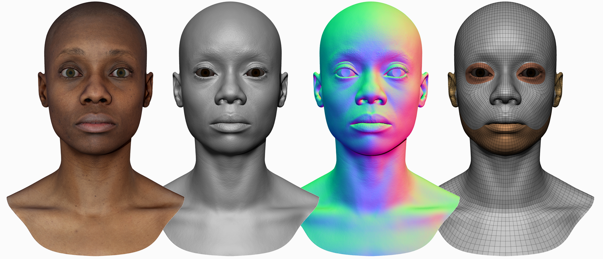 Female 3D model / Retopologised Head Scan 39