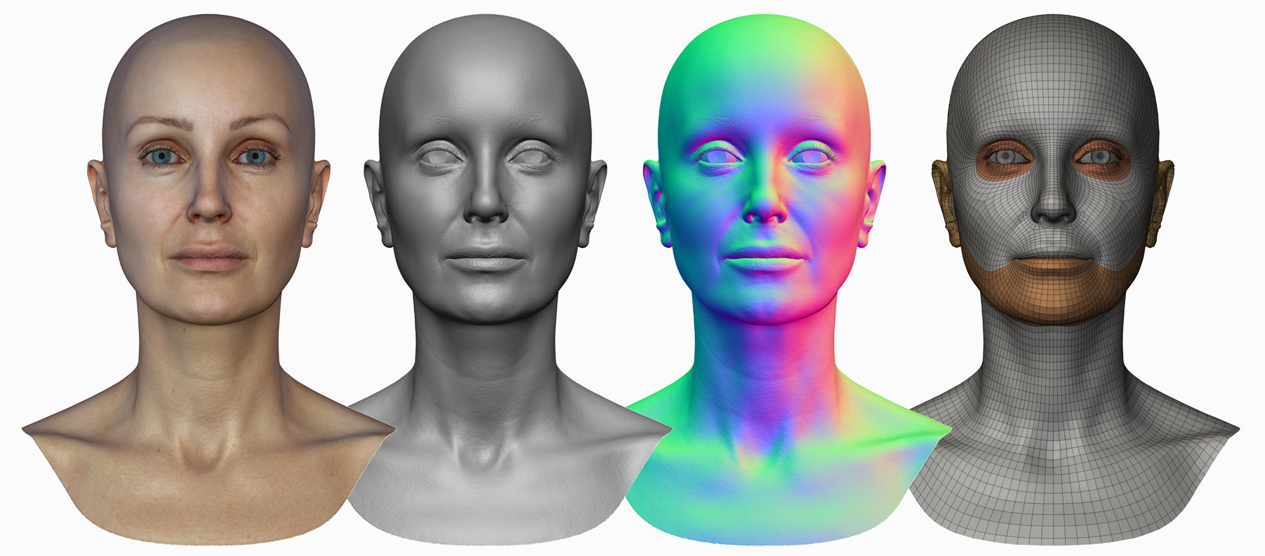 Female 3D model / Retopologised Head Scan 41