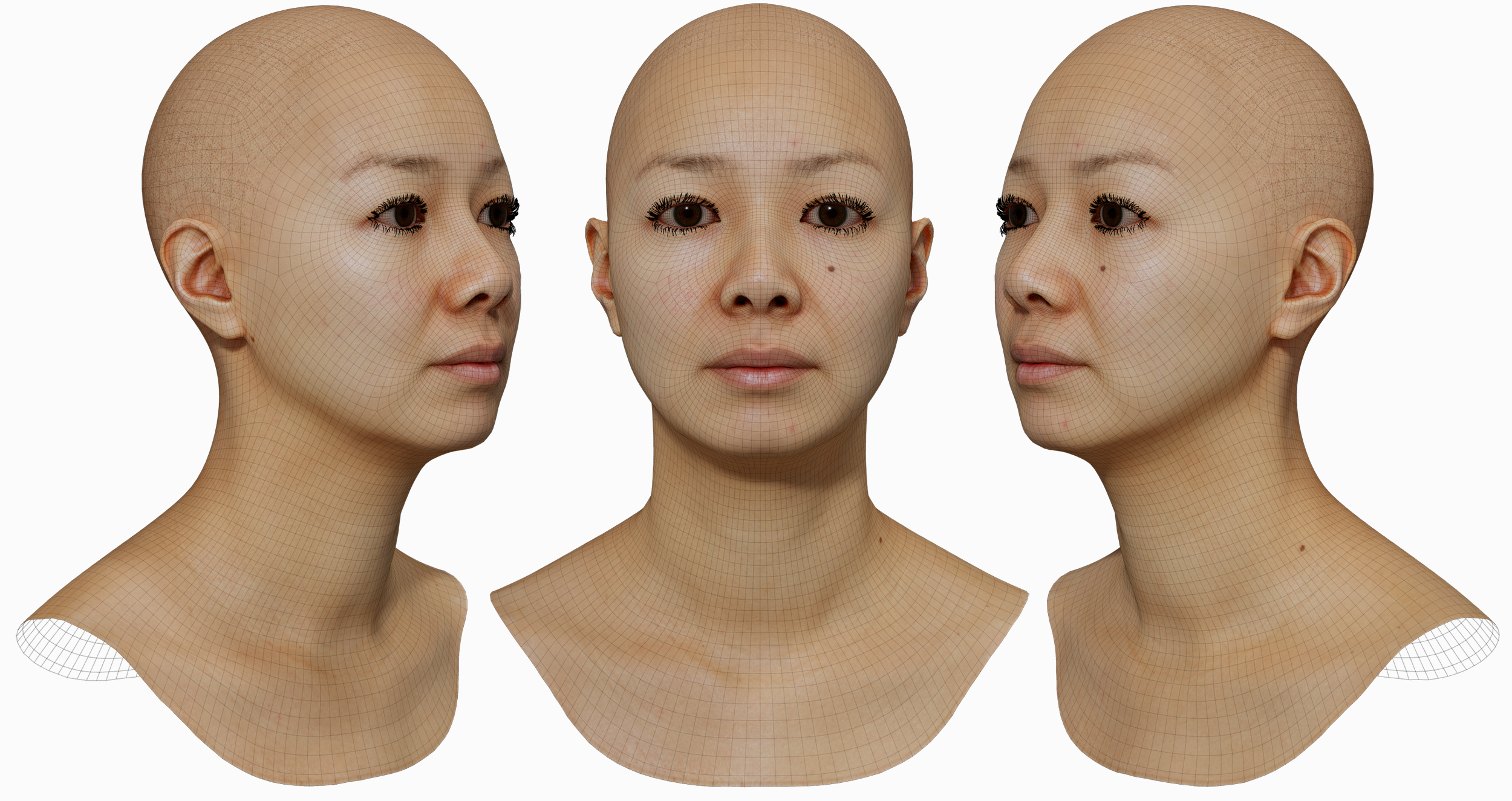 Female 3D model / Retopologised Head Scan 42