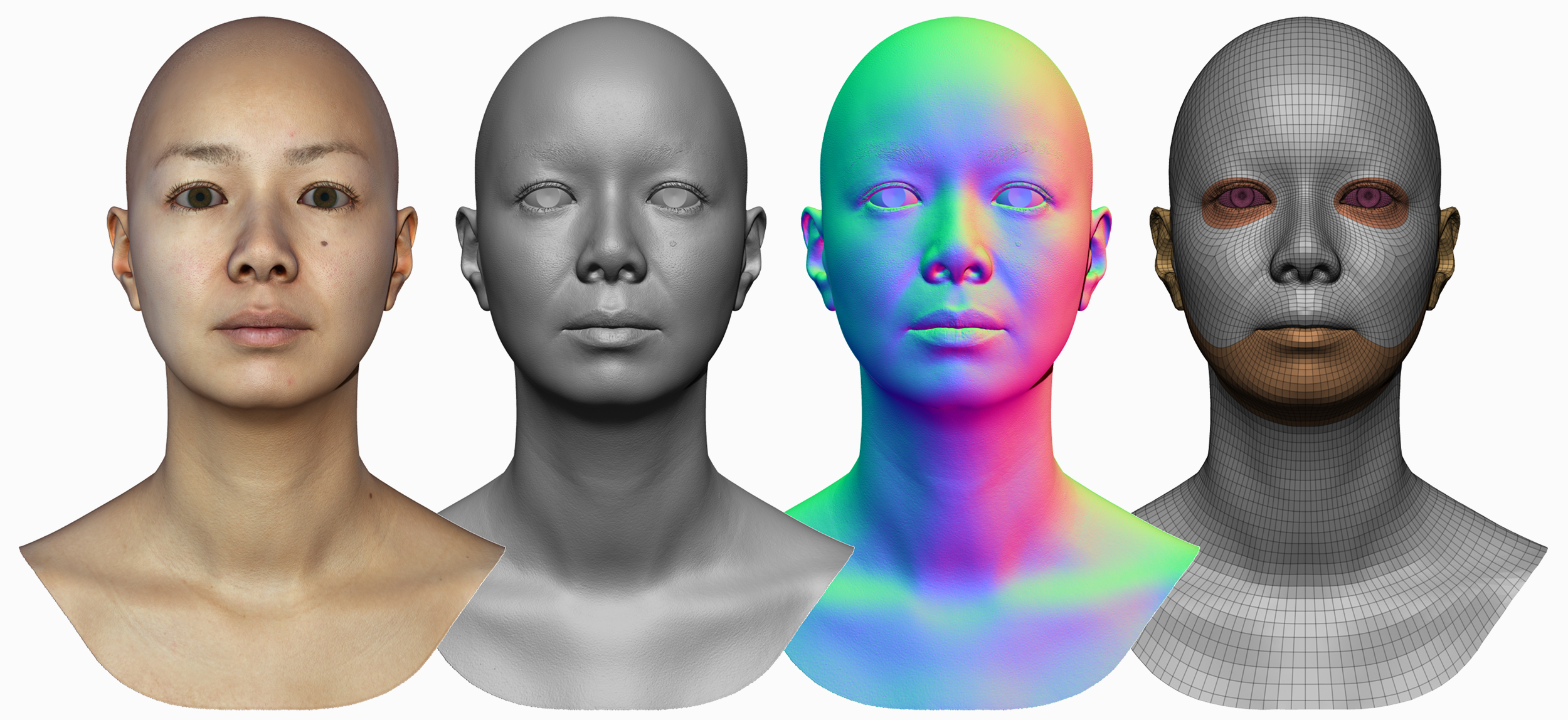 Female 3D model / Retopologised Head Scan 42